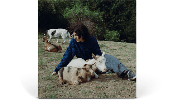 Vinyl | Searows | End Of The World (Swamp Green Vinyl)